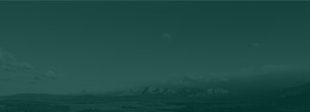 About Us | Acera Insurance