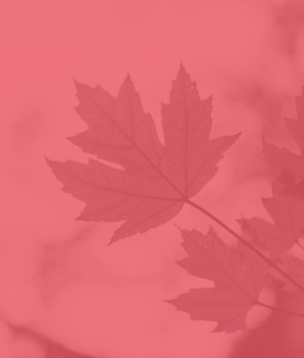 About Us | Acera Insurance