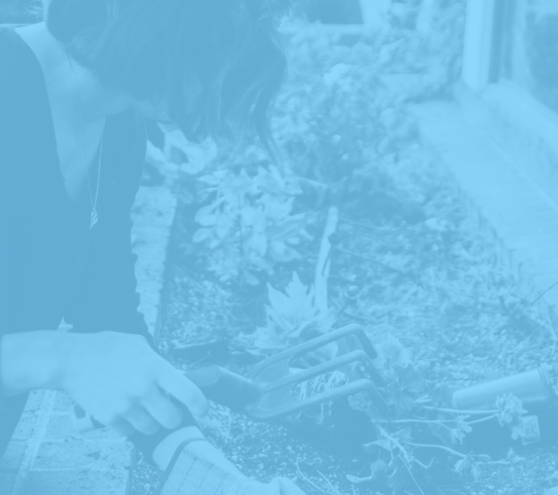 About Us | Acera Insurance