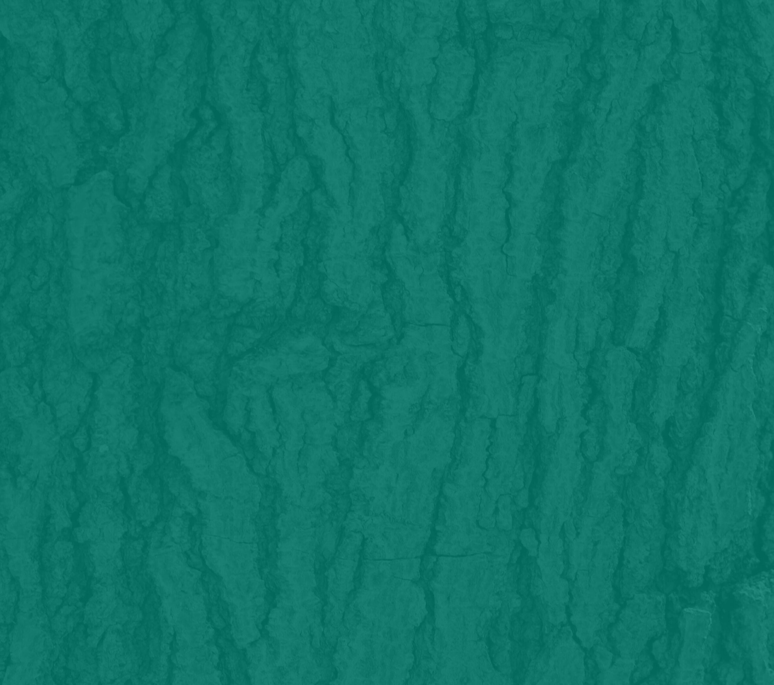 Careers at Acera Insurance | See Current Opportunities