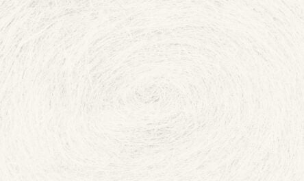 About Us | Acera Insurance