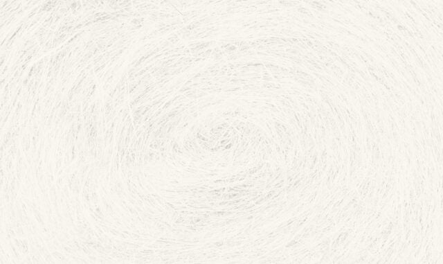 About Us | Acera Insurance