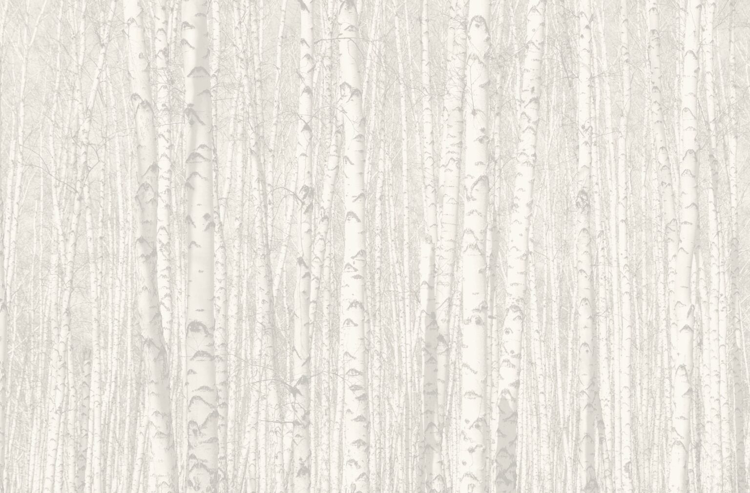 MyAcera | Client App & Web Portal | Acera Insurance