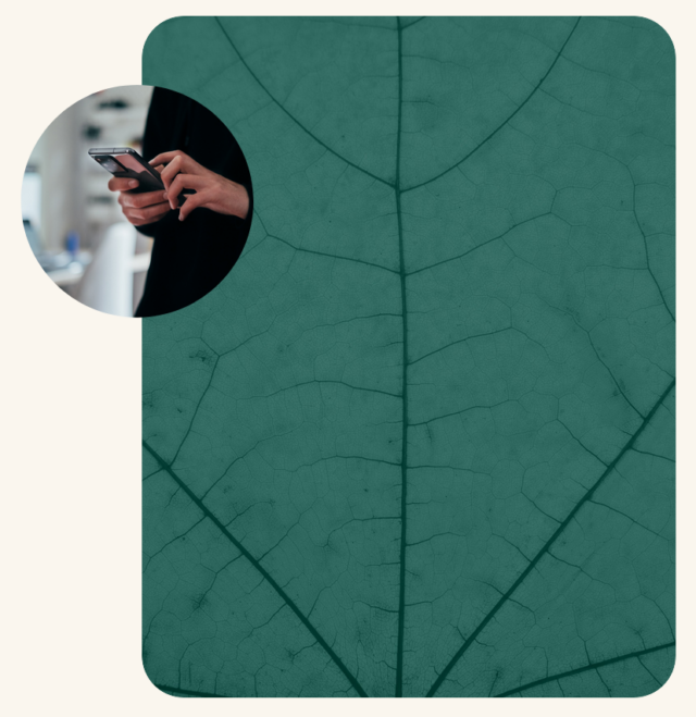 MyAcera | Client App & Web Portal | Acera Insurance