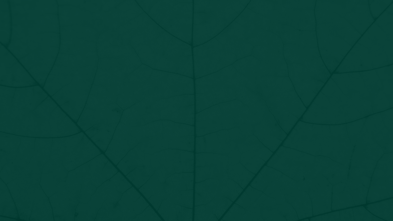 Auto Insurance Calgary | Calgary Car Insurance Quotes & Advice