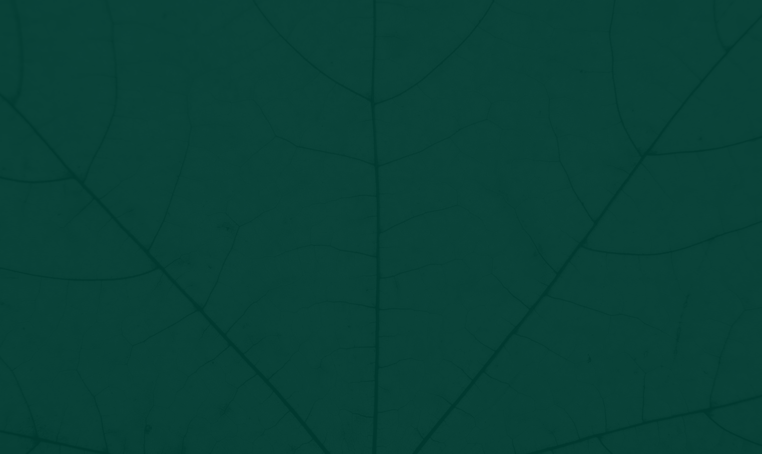 Rogers Insurance Legacy Brand | Now Acera Insurance