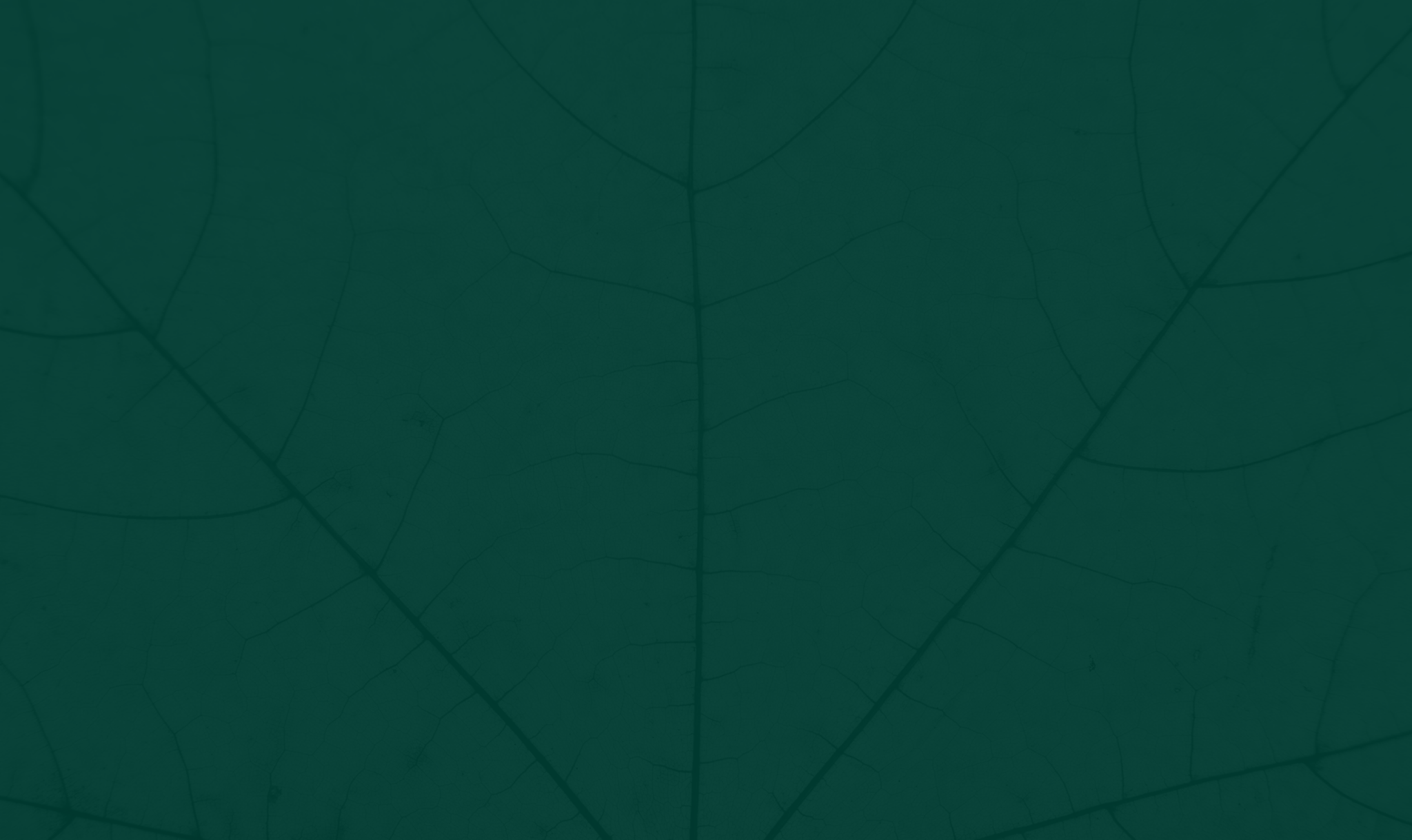 Equine Insurance | Acera Insurance