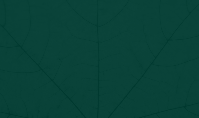 Auto Insurance Calgary | Calgary Car Insurance Quotes & Advice