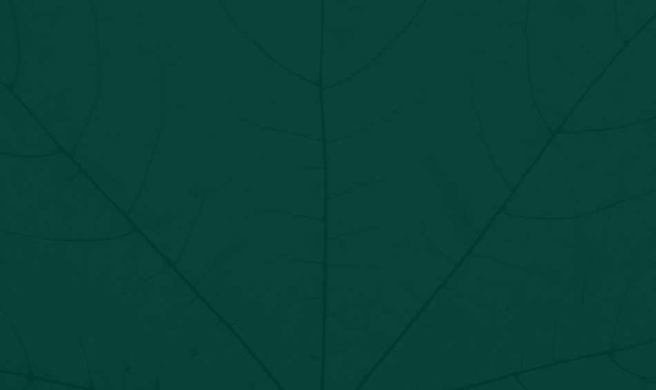 Prizm Financial | Our Brands | Acera Benefits