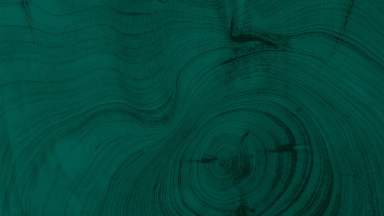 Signature by Acera Insurance | Acera Insurance