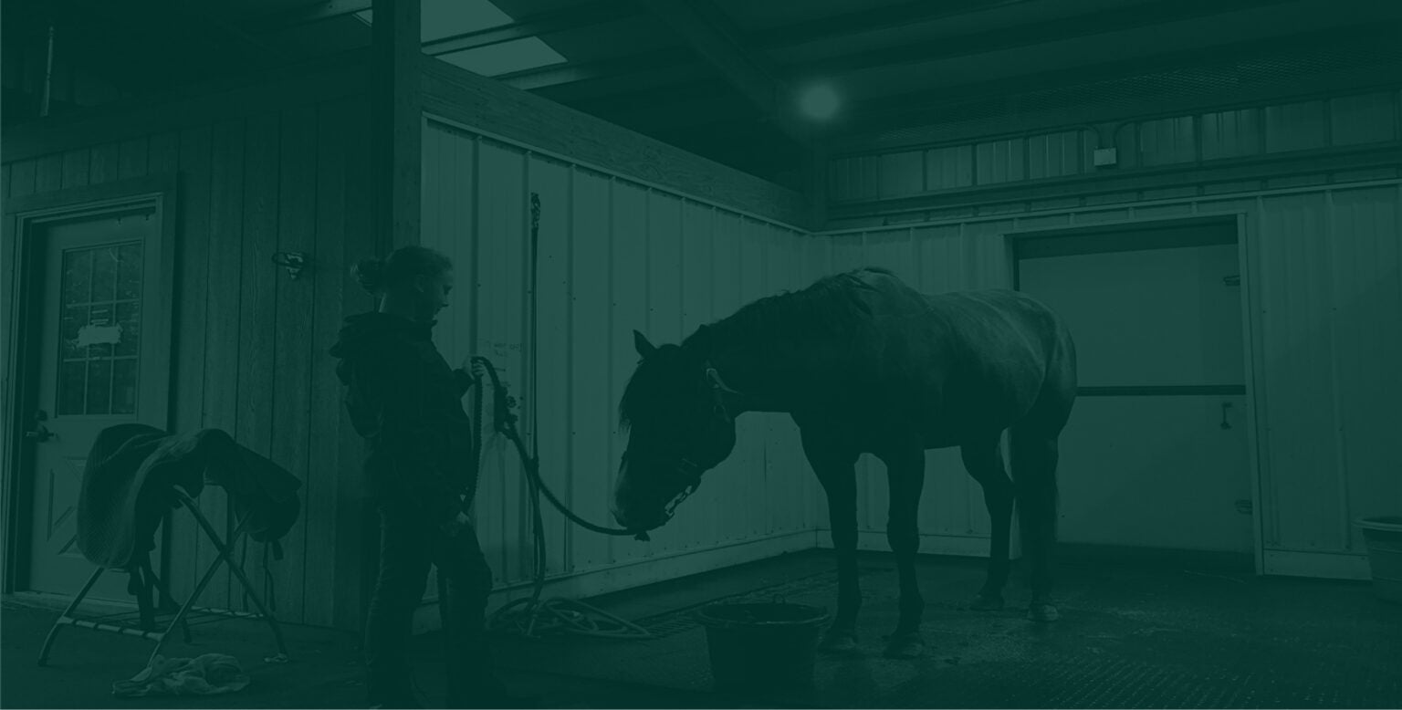 Equine Coach & Trainer Insurance | Acera Insurance