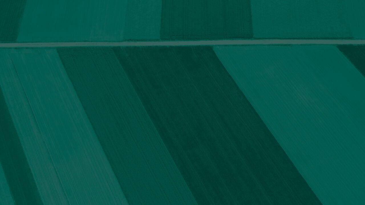 Group Insurance Rates & Savings | Acera Insurance