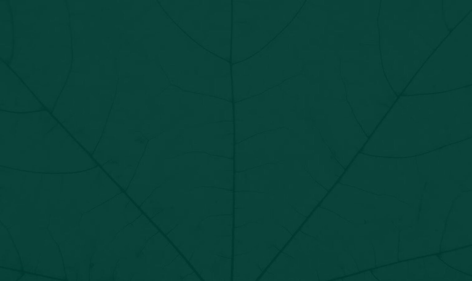 Rogers Insurance Legacy Brand | Now Acera Insurance