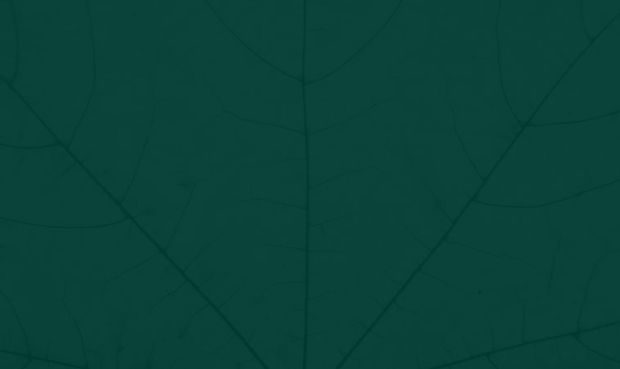 CapriCMW Legacy Brand | Now Acera Insurance