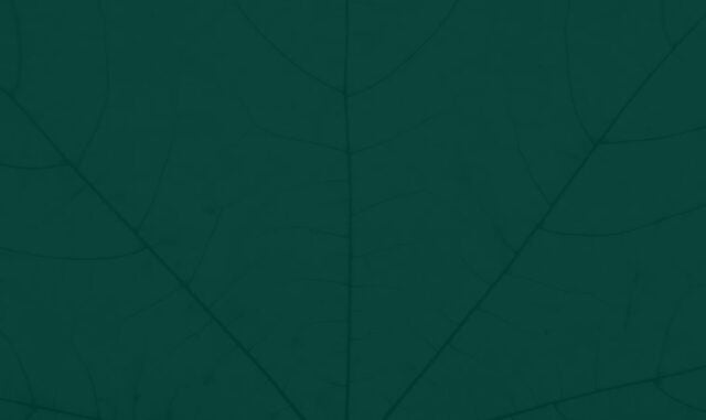 Prizm Financial | Our Brands | Acera Benefits